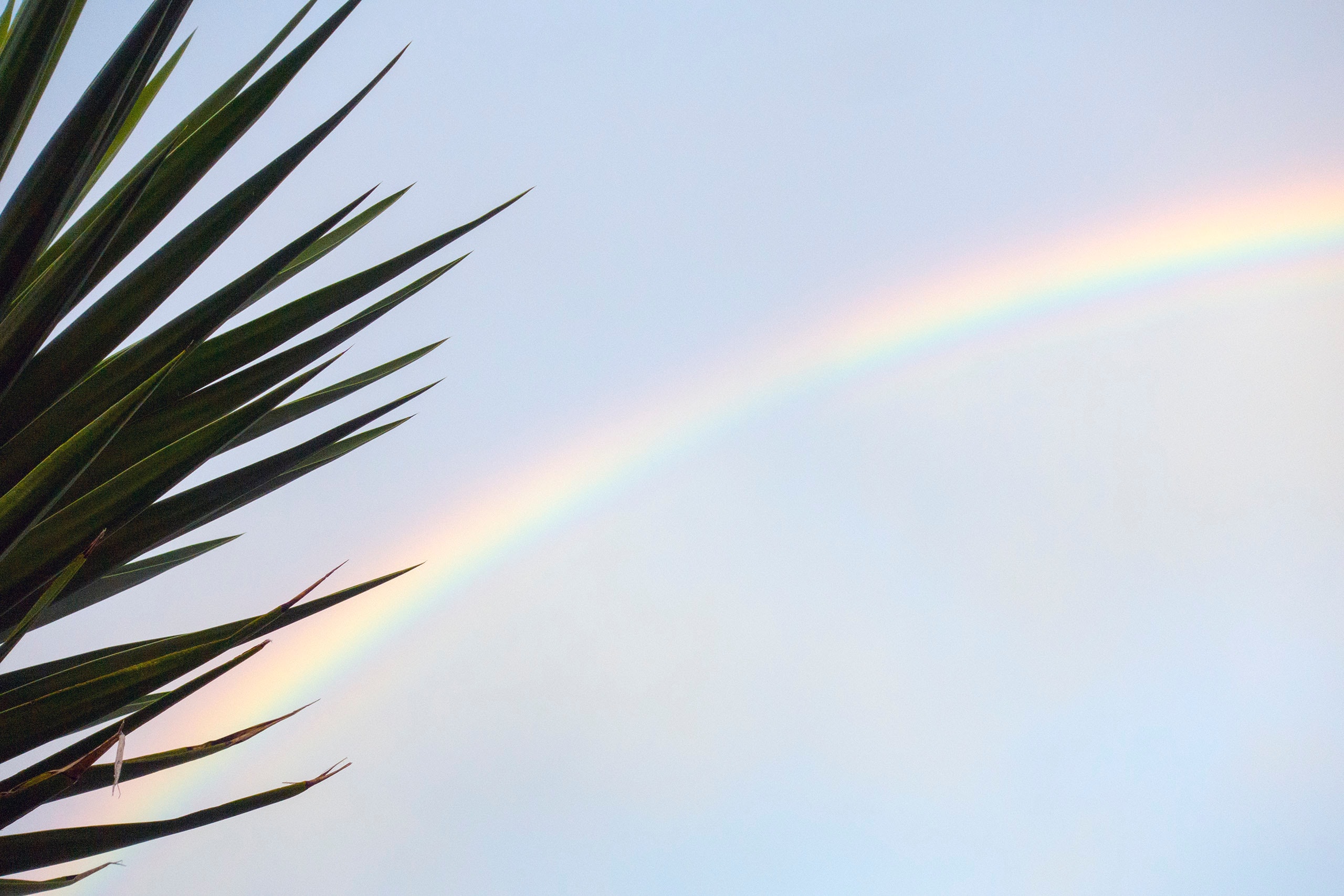 Background Zoom Keren Zoom Background Rainbow Download And Use Images 