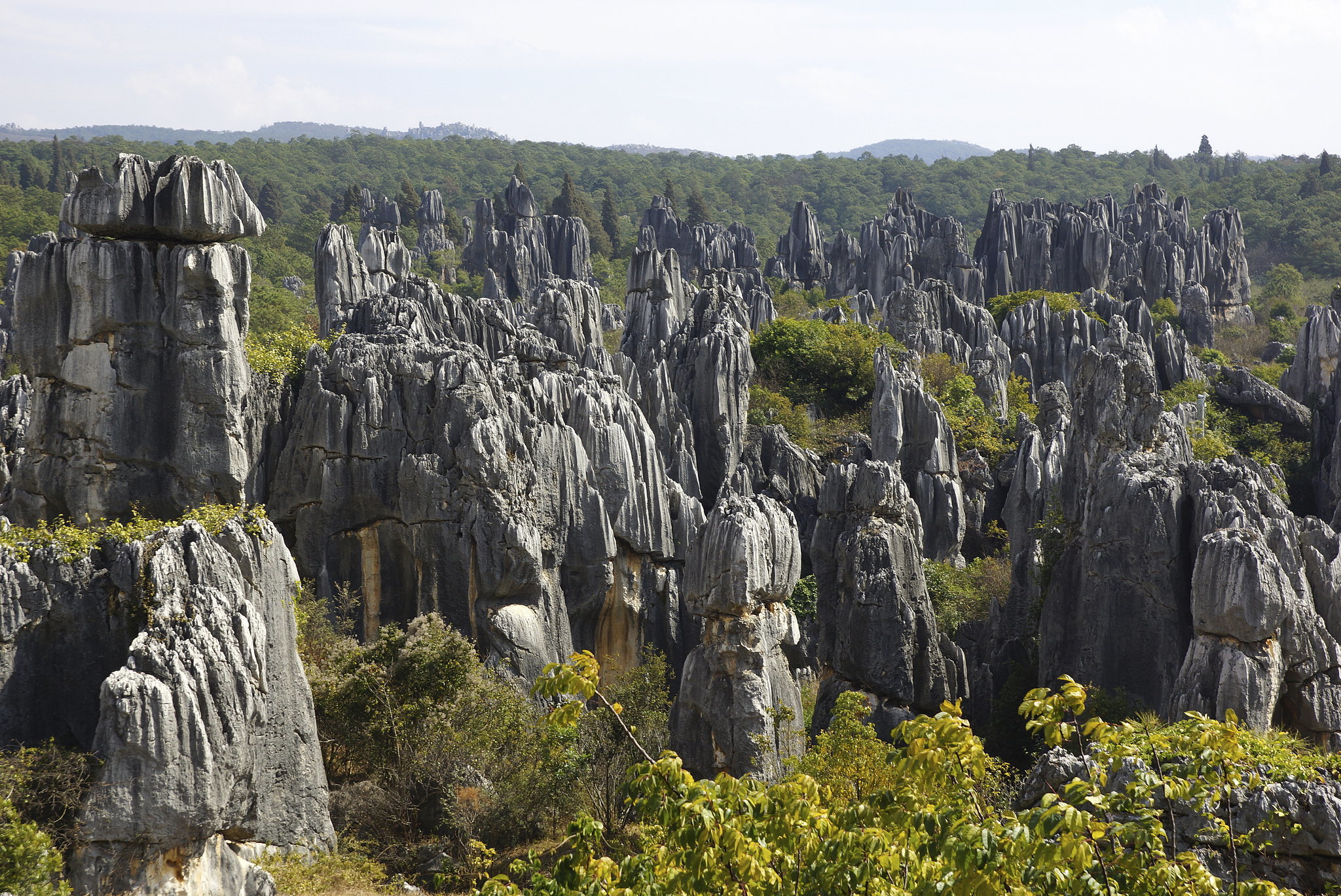 Stone Forest, China | 83 Unreal Places You Thought Only Existed in Your ...