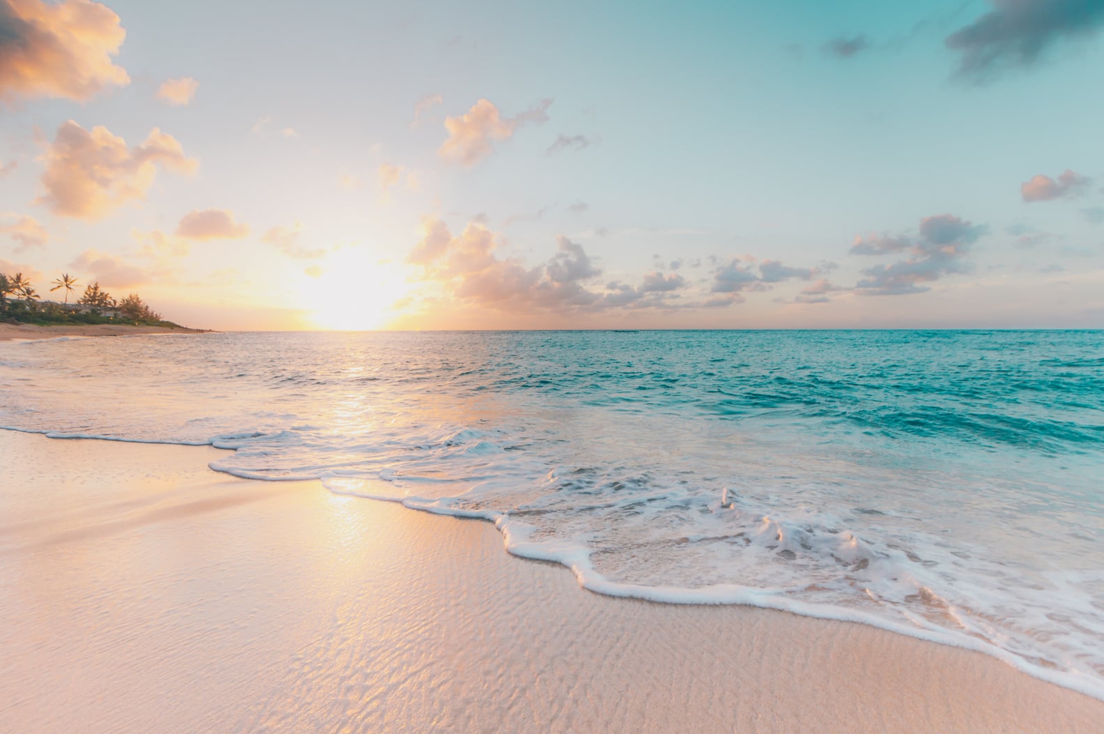 Download Free Zoom Backgrounds | POPSUGAR Tech