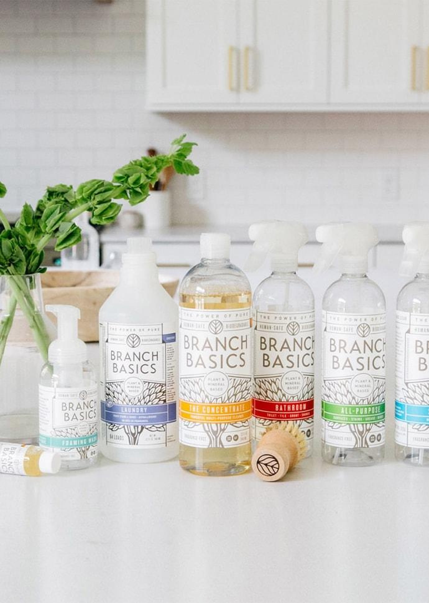 Best Home Cleaners 2022 | PS Smart Living