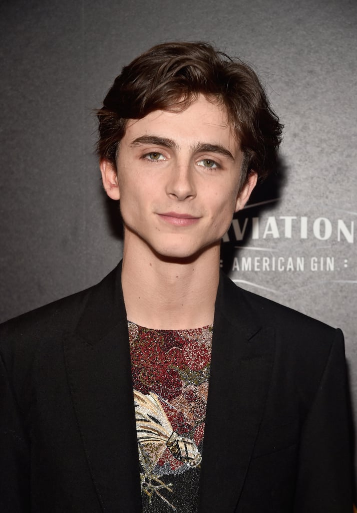 Hot Timothée Chalamet Pictures | POPSUGAR Celebrity Photo 36