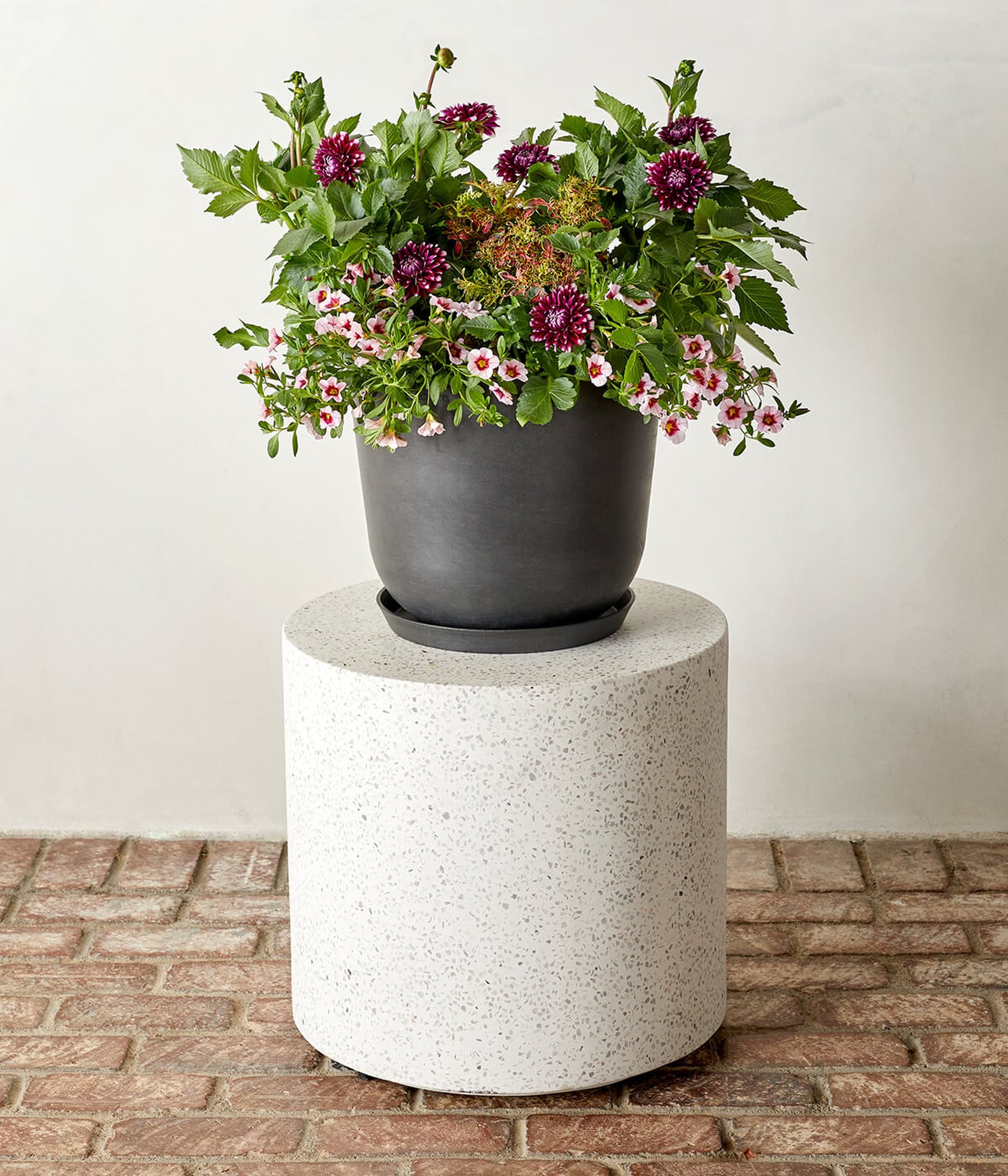 Bloomscape Outdoor Plant Launch | PS Home