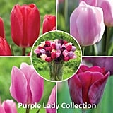 Hostess Gifts From Costco | POPSUGAR Home