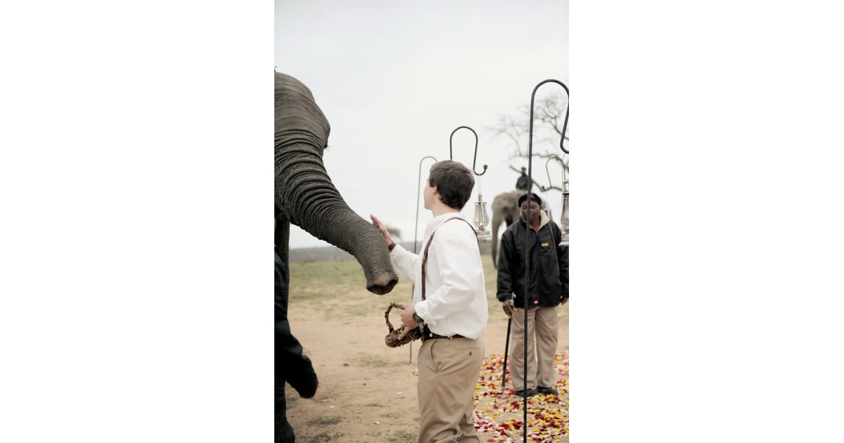 South African Safari Wedding With Elephants Popsugar Love And Sex Photo 25