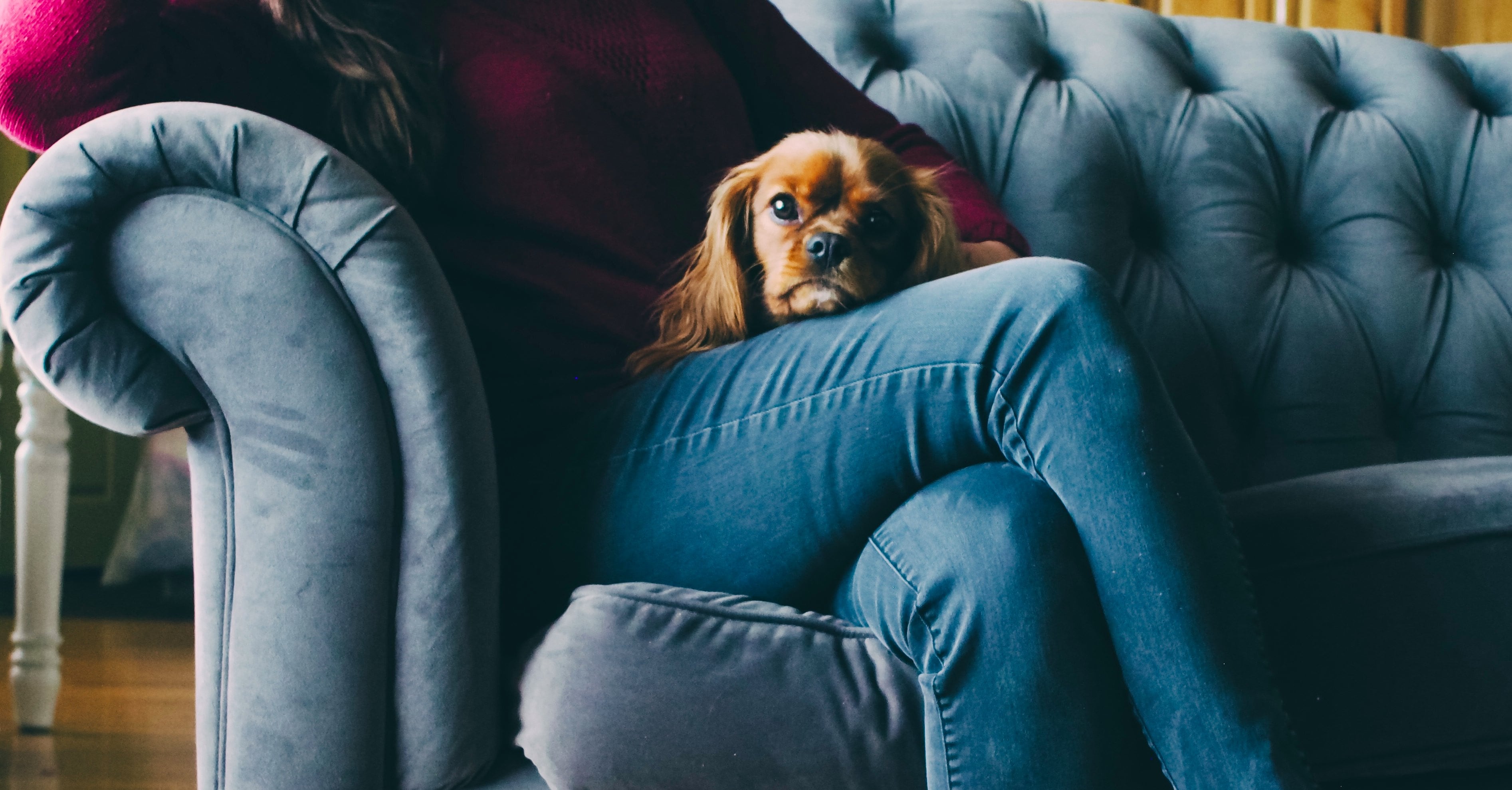 Can Pets Help With Depression and Anxiety? | POPSUGAR Smart Living