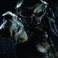 The Predator | PS UK