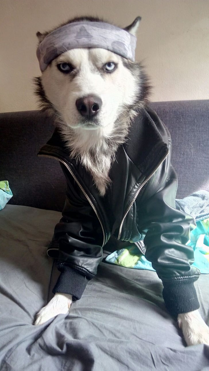 This badass | Cute Animal Pictures | POPSUGAR Pets Photo 13