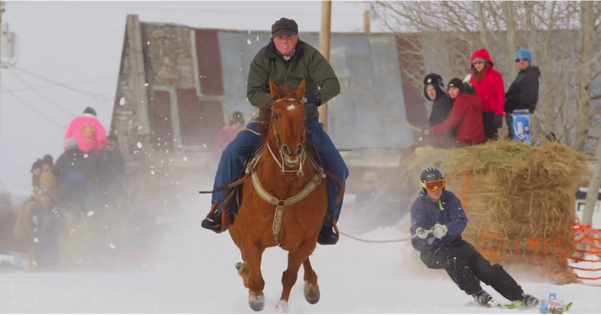 Why Skijoring Is the Best Winter Sport | Video | POPSUGAR Fitness