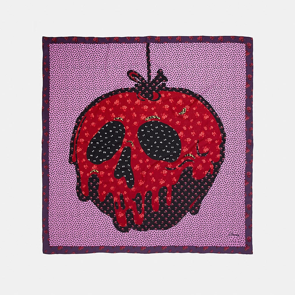 Disney x Coach Collection 2018 | POPSUGAR Fashion