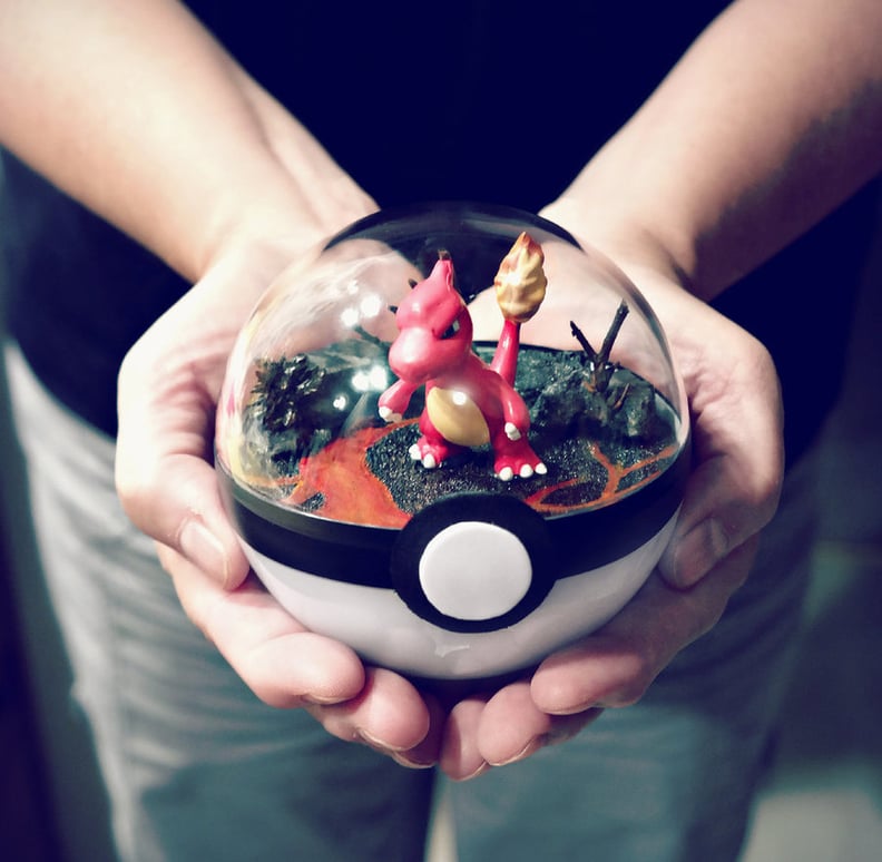 Where Can You Buy Pokemon Terrariums? | POPSUGAR Tech