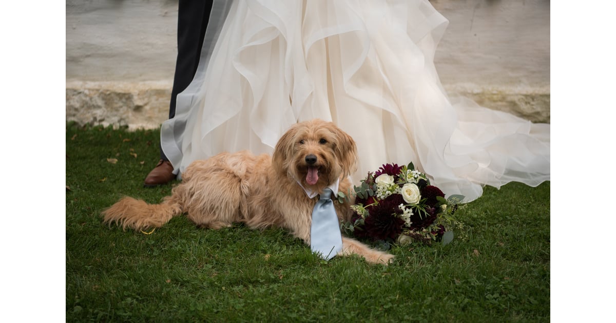 Dogs in Weddings | POPSUGAR UK Parenting Photo 75