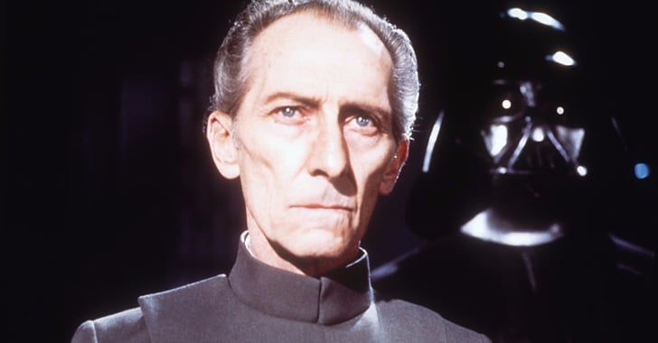 Who Plays General Tarkin in Star Wars Rogue One? | POPSUGAR Entertainment