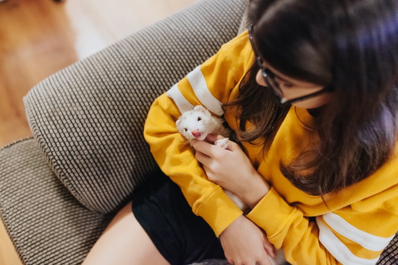 9 Best Small Pets For Cuddling | POPSUGAR Pets