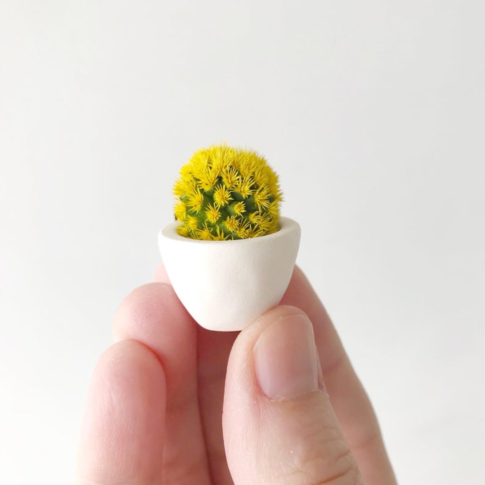 Cute Micro Succulents You Can Buy on Etsy | PS Home