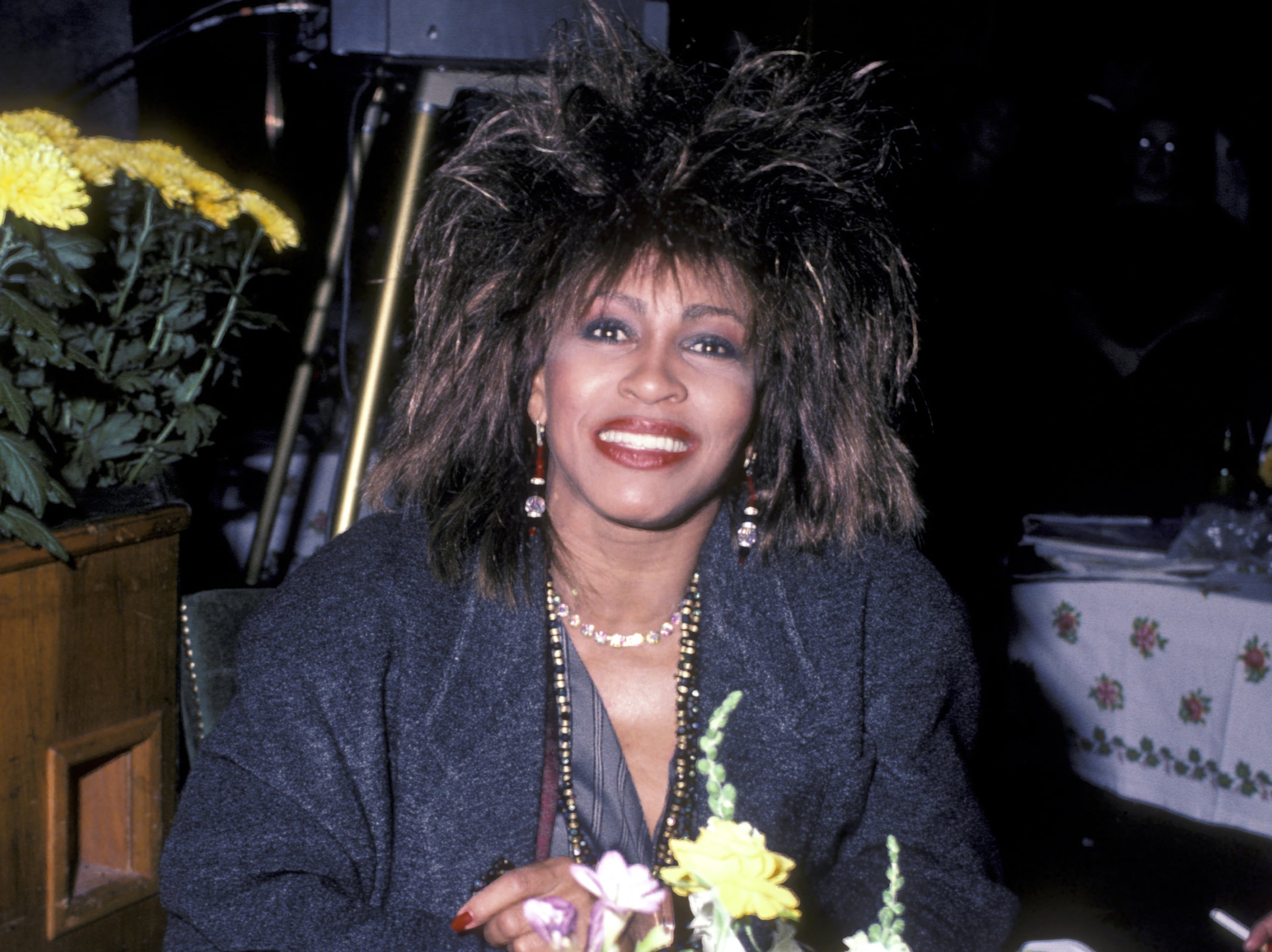 Tina Turner's Kids | POPSUGAR Celebrity