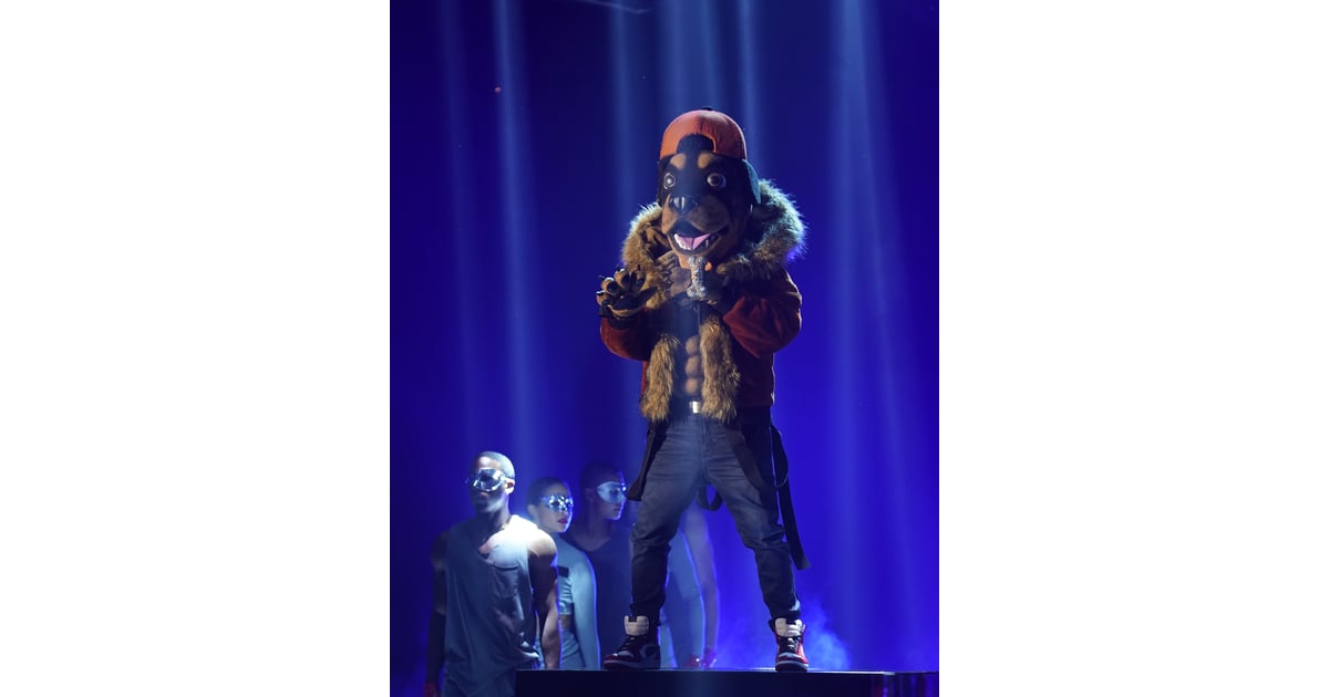 Season 2: The Rottweiler | The Masked Singer: Every Contestant Over the ...
