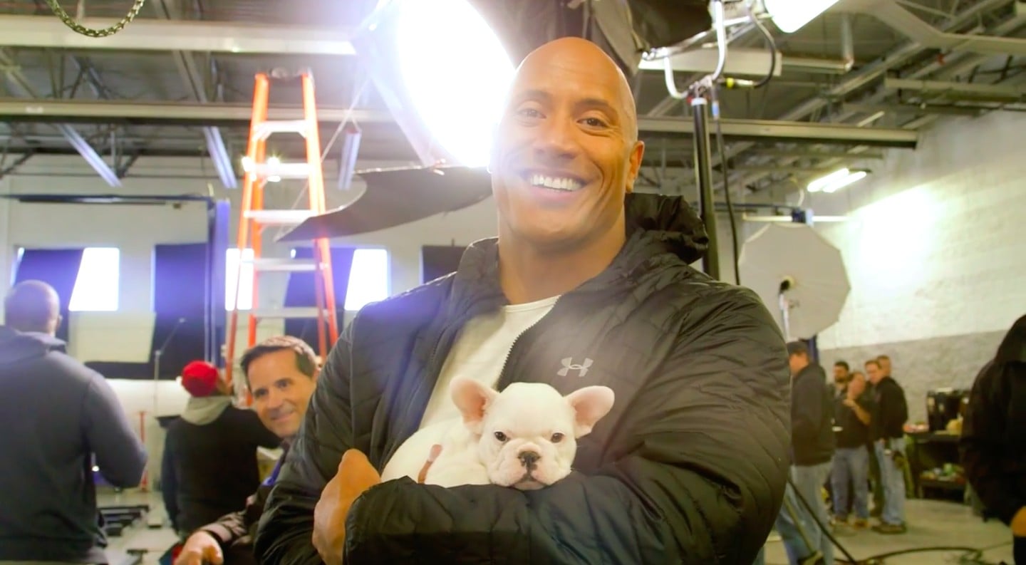 Dwayne Johnson Playing With Puppies Video | PS Celebrity