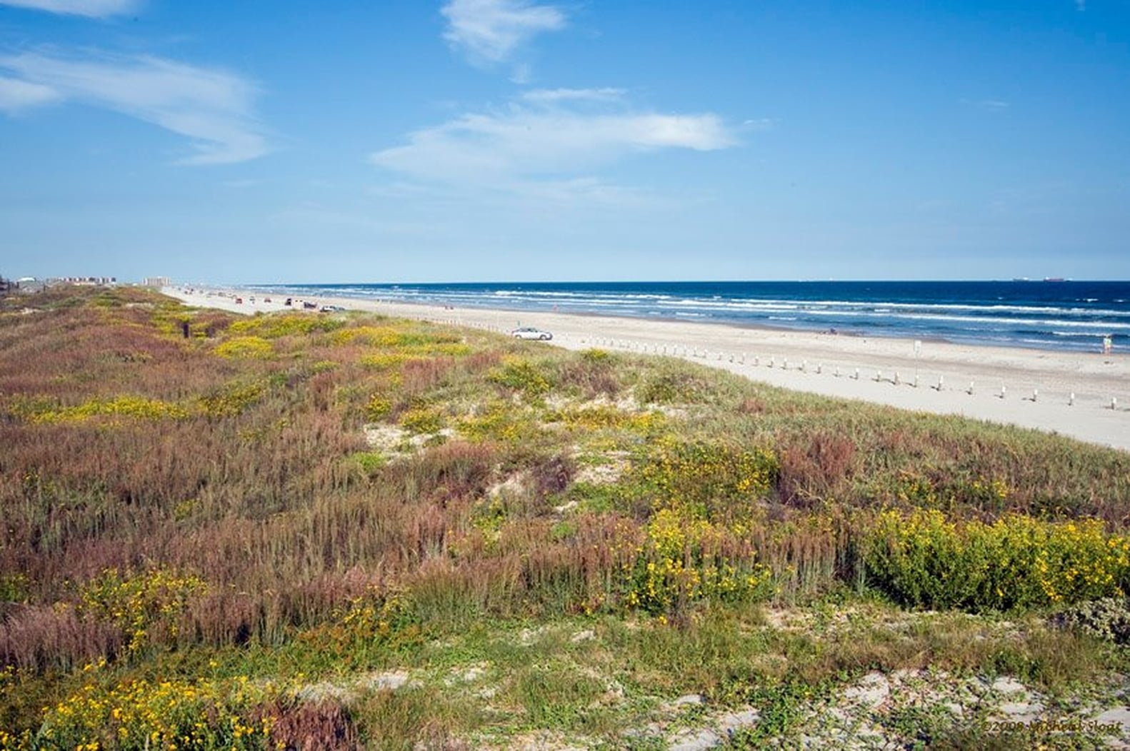 Bachelorette Party Ideas in Texas | PS Smart Living