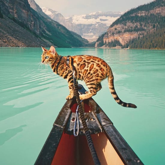 Fake Cliff in Brazil Pictures | POPSUGAR Smart Living