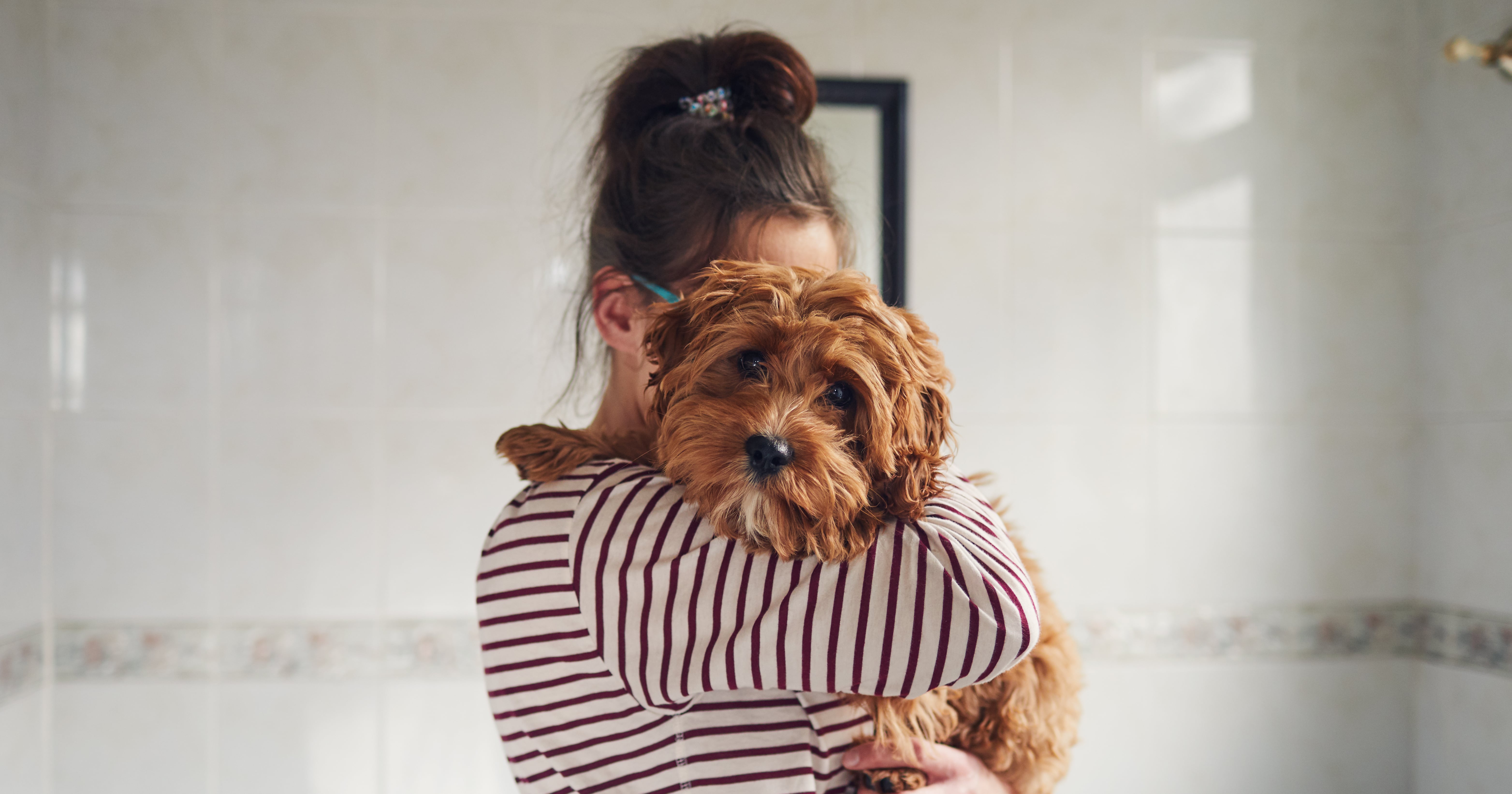 How My Dogs Help Me Manage My Anxiety Amid COVID-19 | PS Pets