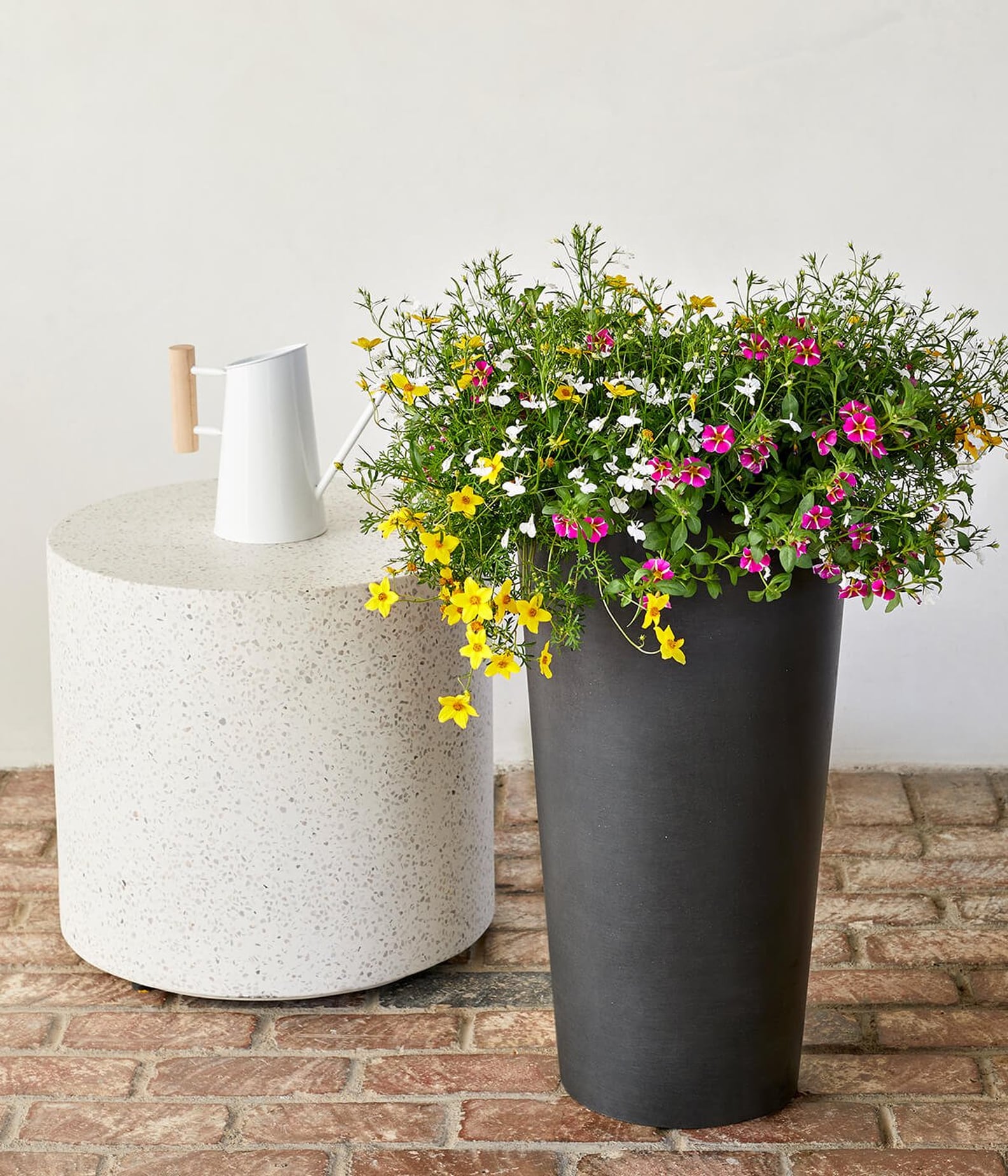Bloomscape Outdoor Plant Launch | PS Home