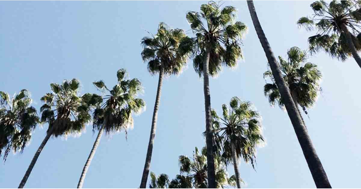 Landscape and Portrait Format on Instagram | POPSUGAR Tech