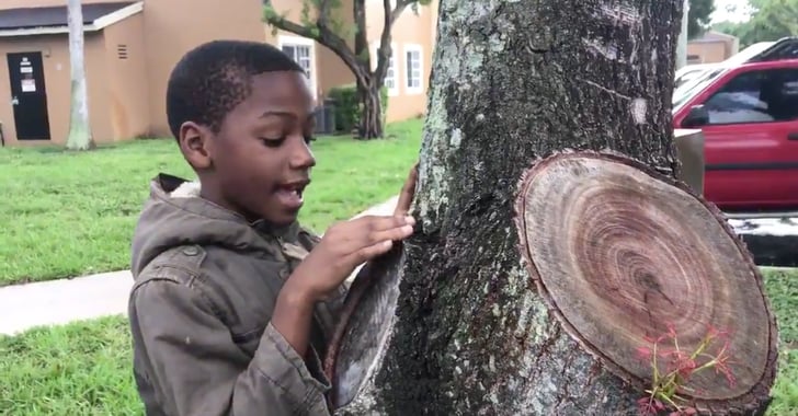 Boy Who Loves Science Posts Viral Video About Trees | POPSUGAR Family