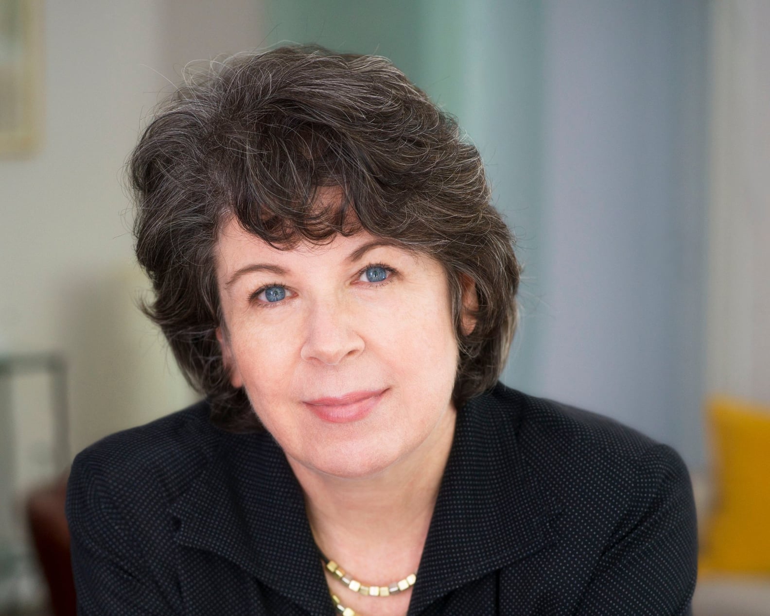 Meg Wolitzer Interview Female Persuasion, Feminism, Hillary | PS News