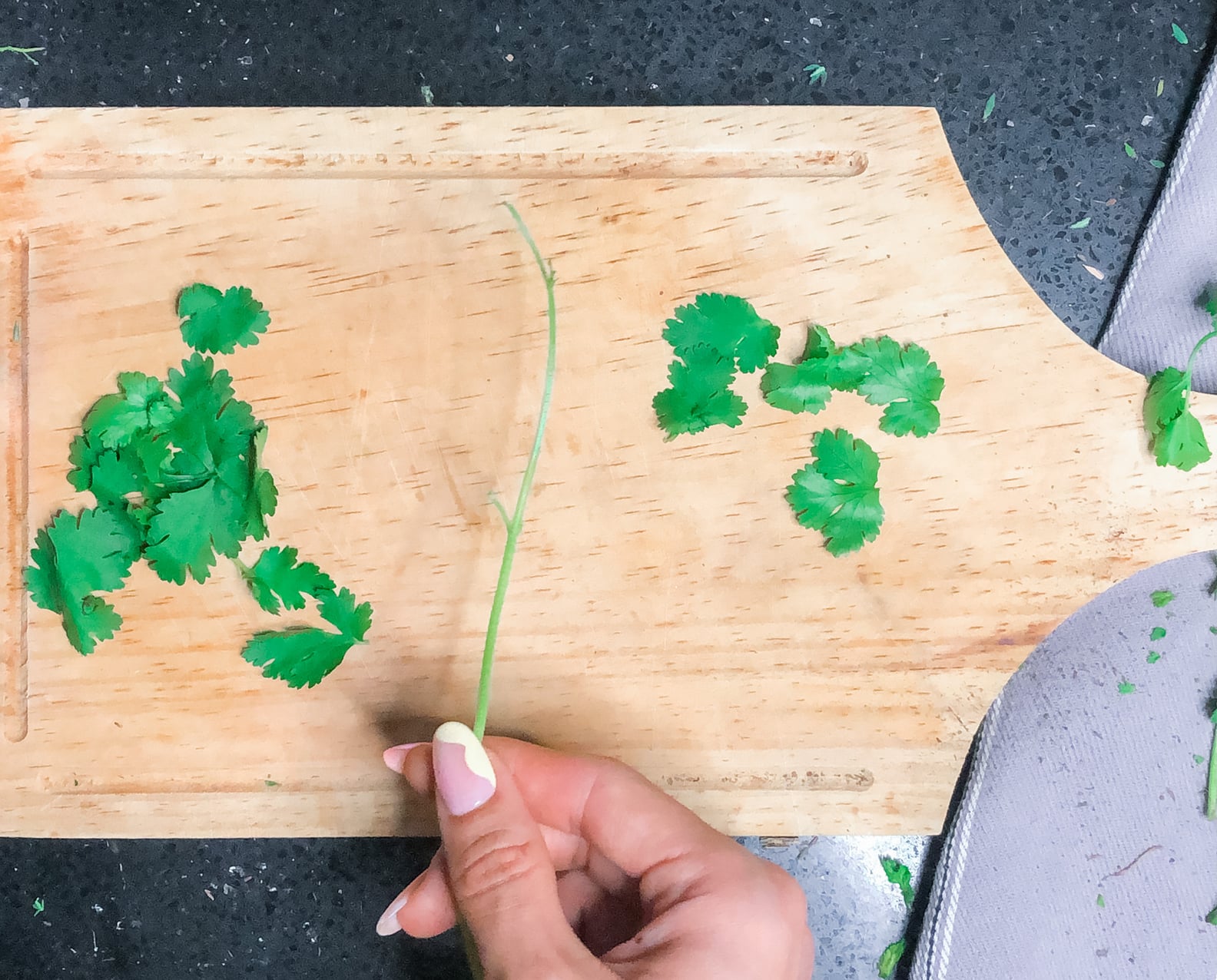 How to Cut Herbs Using a Kitchen Grater | Photos | POPSUGAR Food