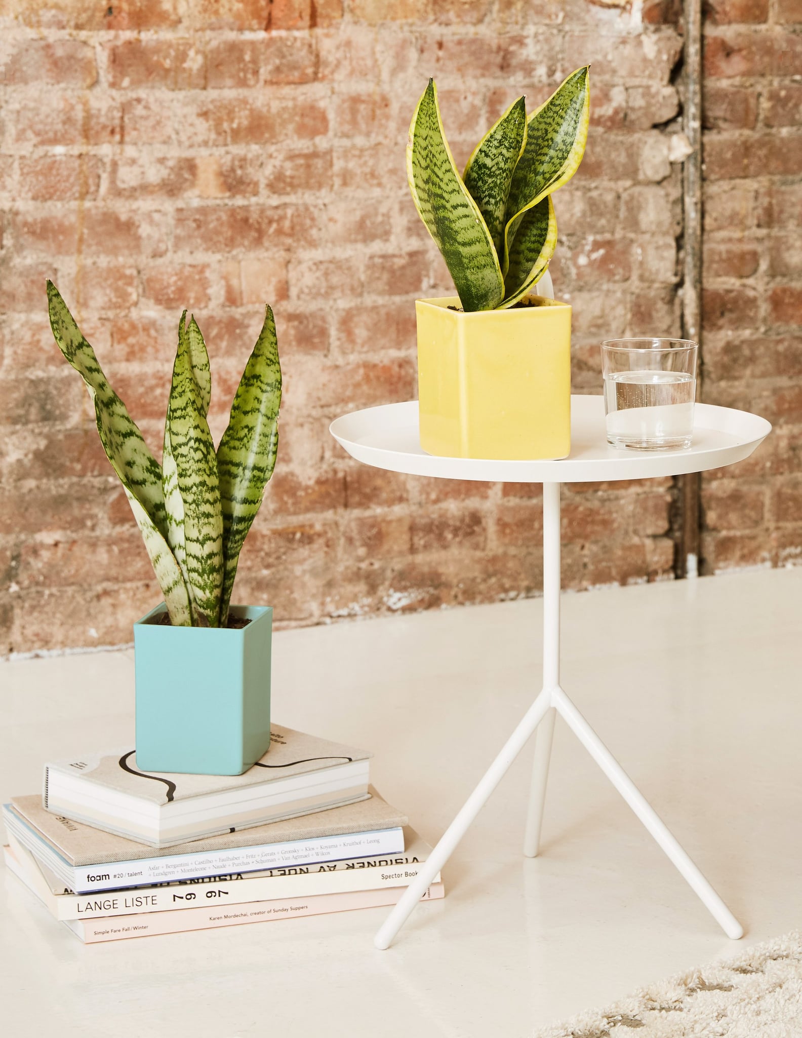 Best Office Desk Plants | PS Home