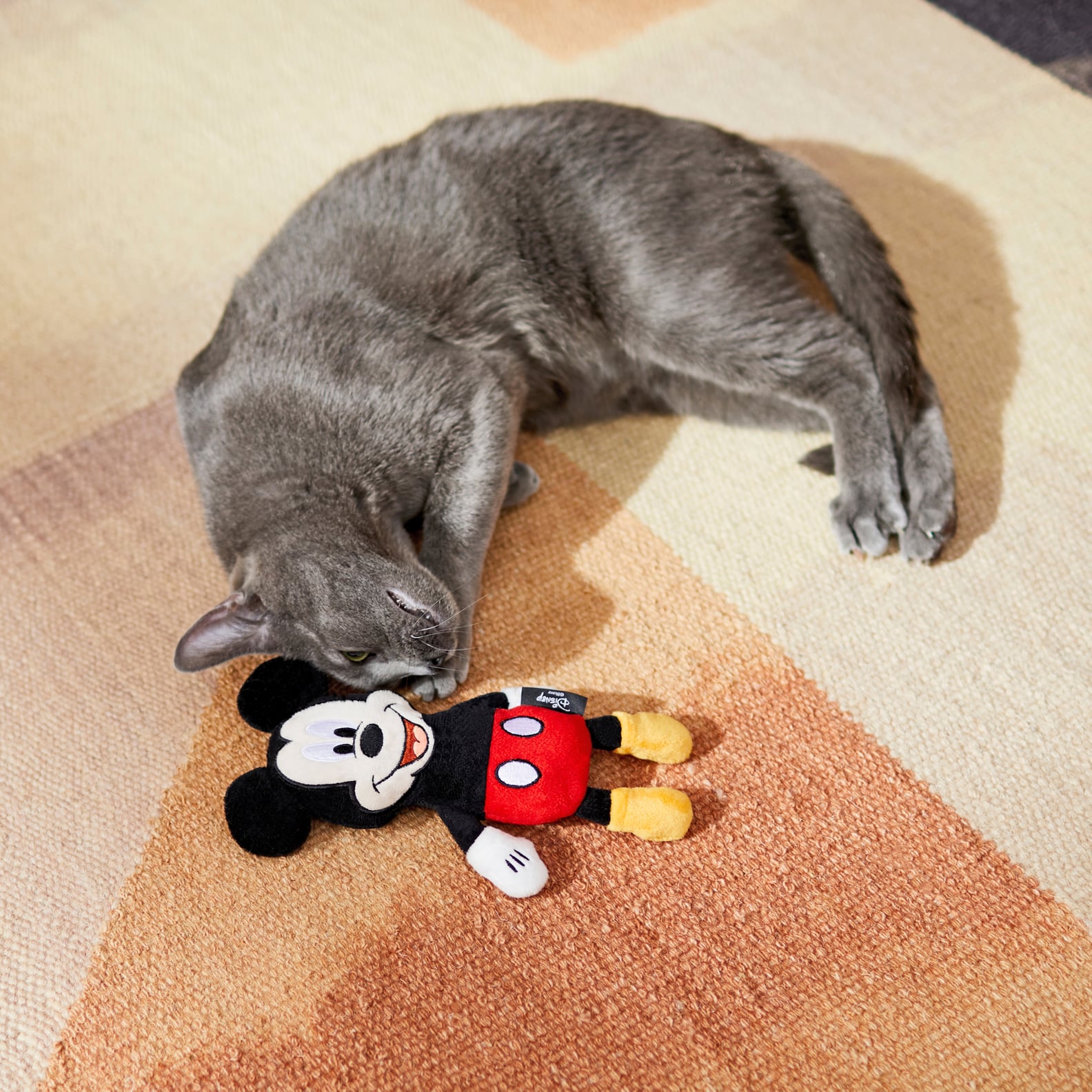Chewy Disney, Pixar, Marvel, Star Wars Pet Products | PS Pets