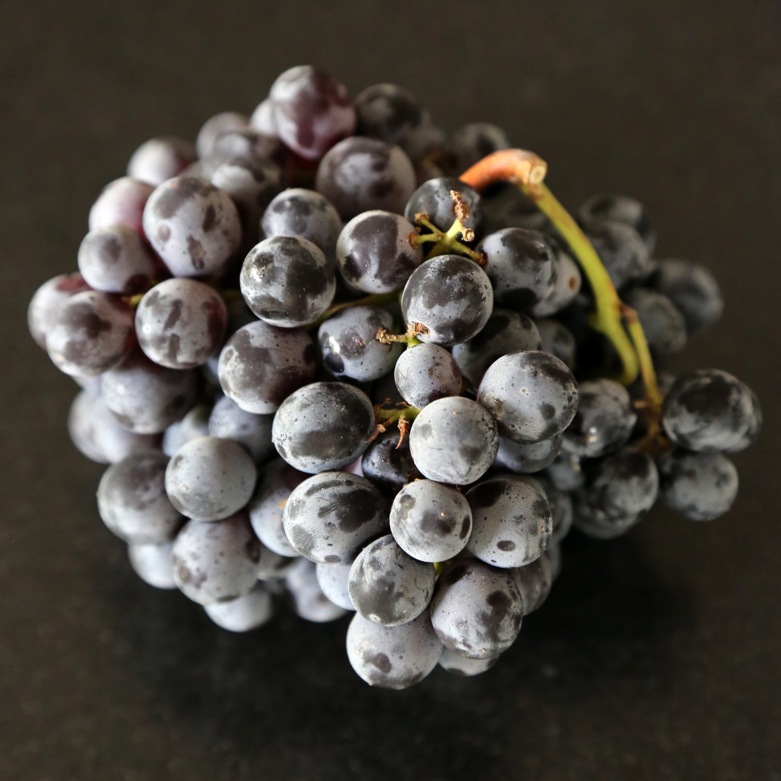 Concord Grape Cider | PS Food