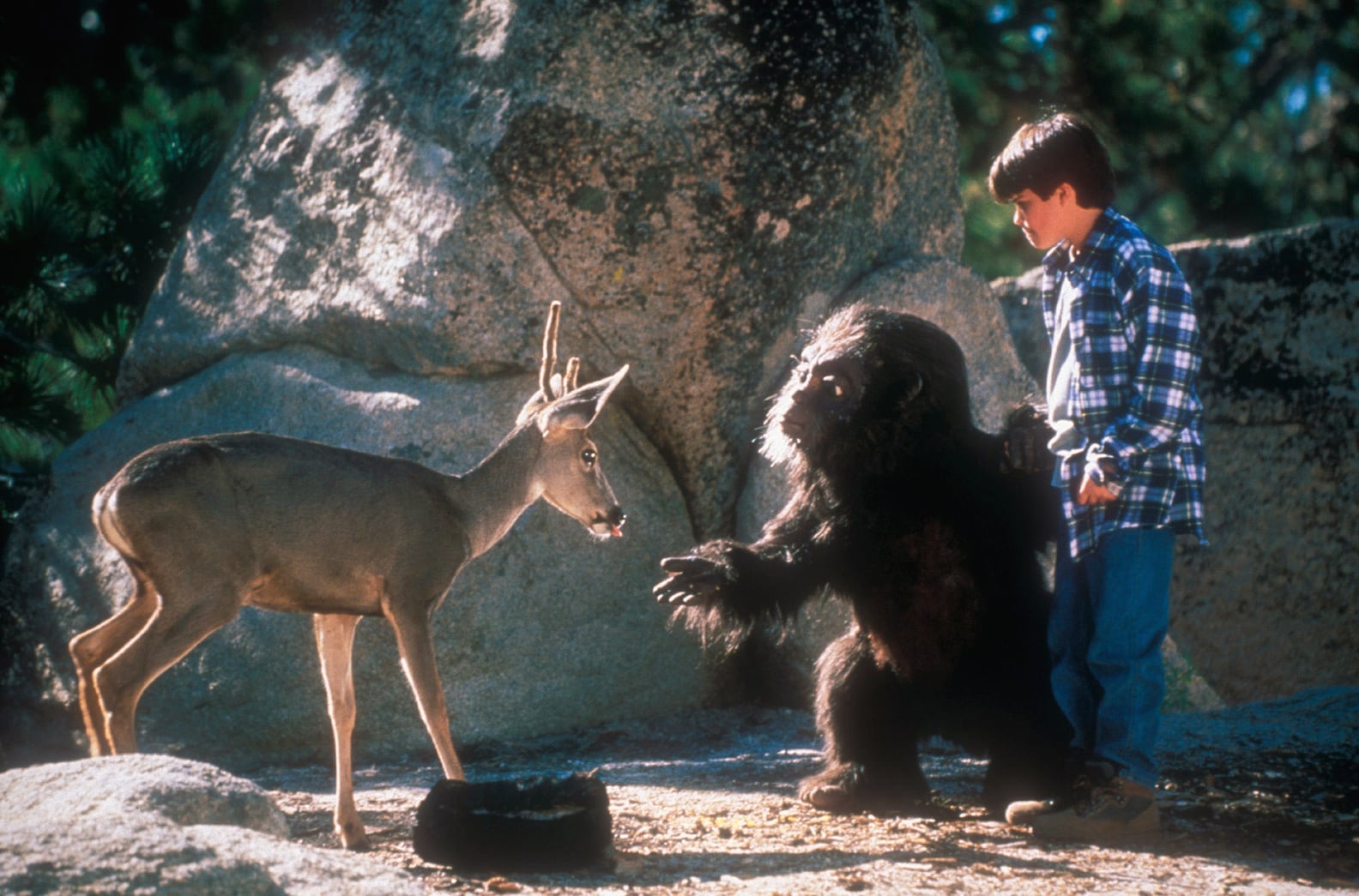 15 Bigfoot Movies | PS Entertainment