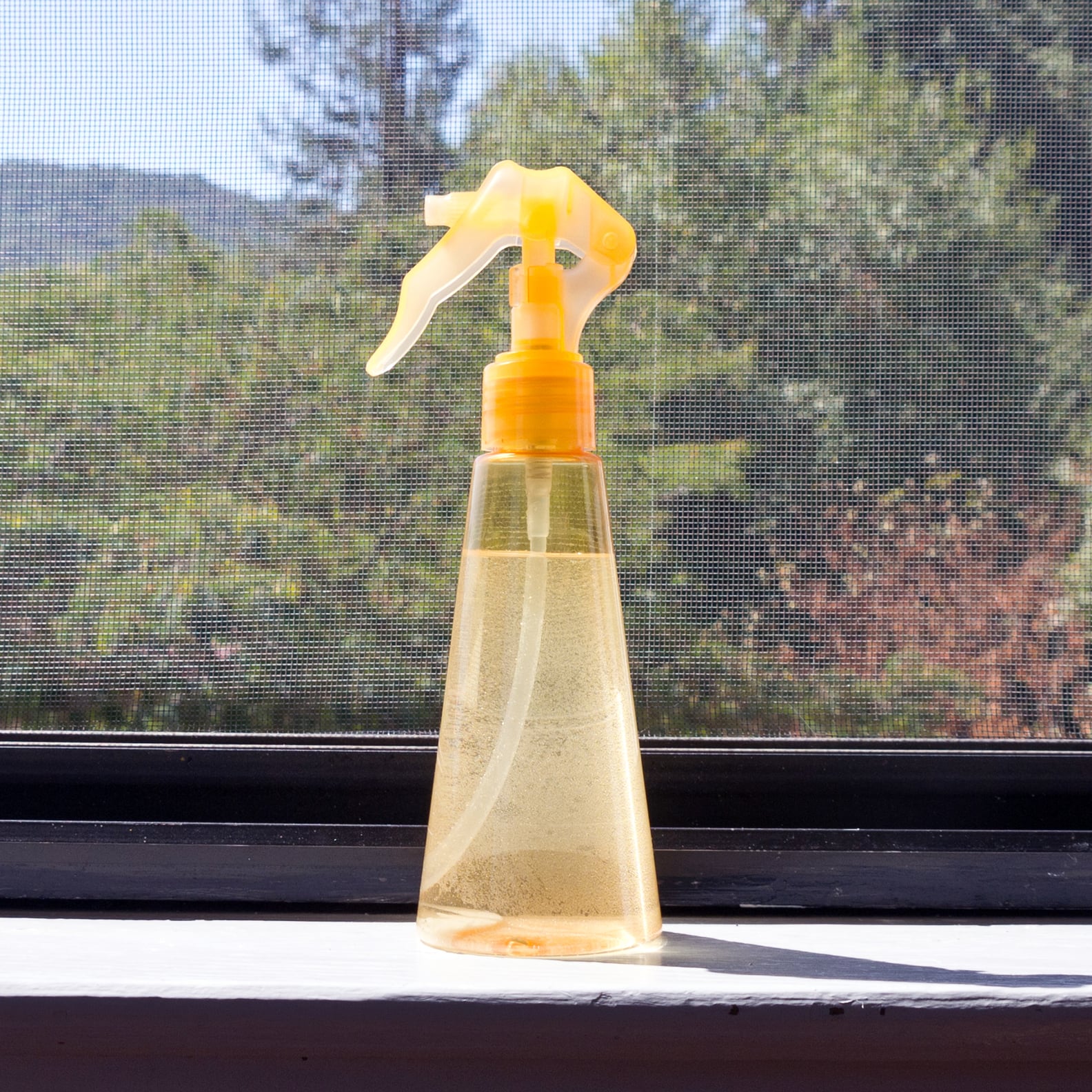 DIY Window Screen Cleaner | PS Smart Living