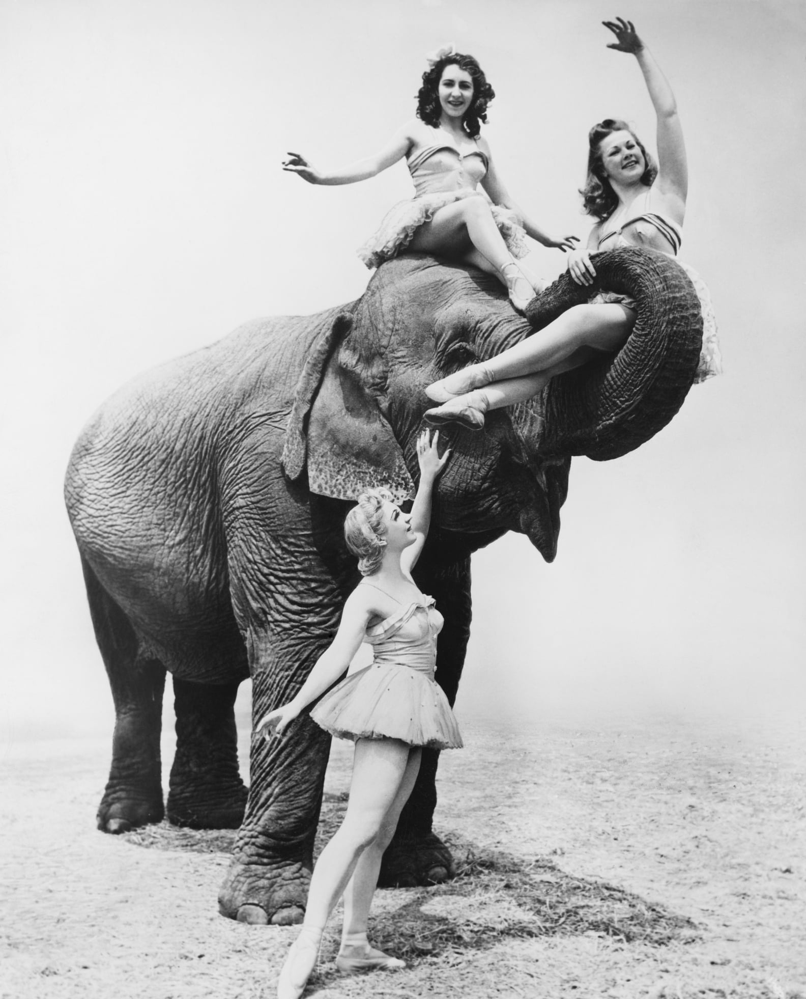 Facts About Freak Shows | PS Entertainment