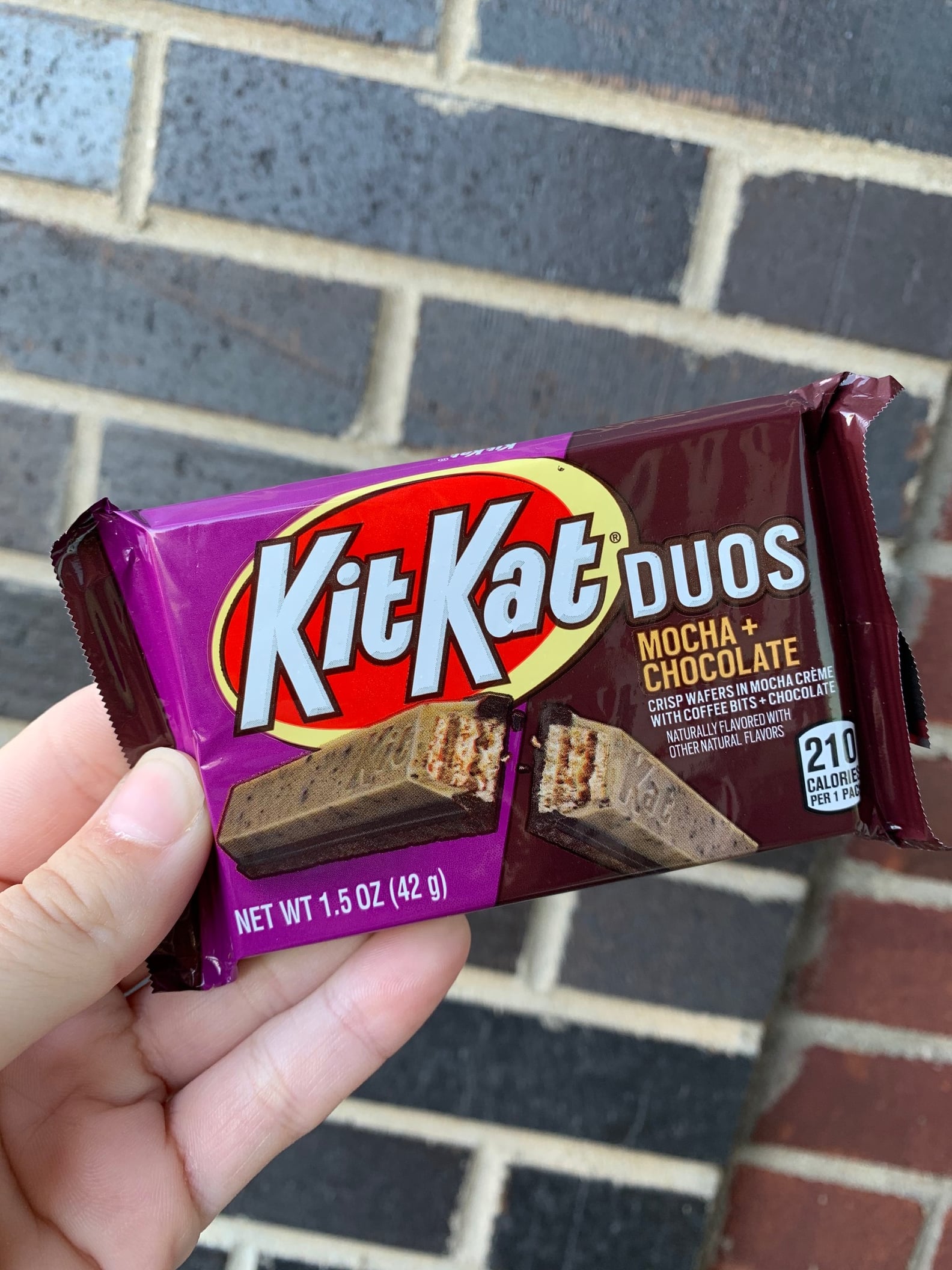 Mocha Chocolate Kit Kat Review | PS Food