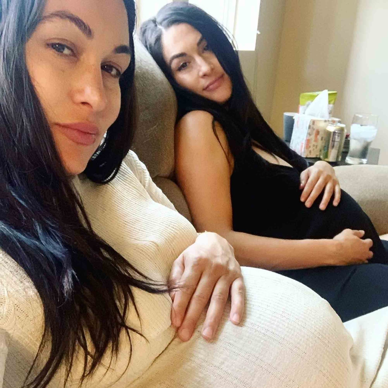 What Did Brie and Nikki Bella Name Their Baby Sons? | PS Family