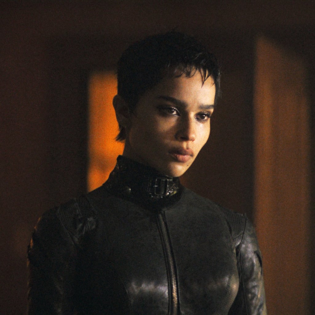 Michelle Pfeiffer In Hunger Games Movie