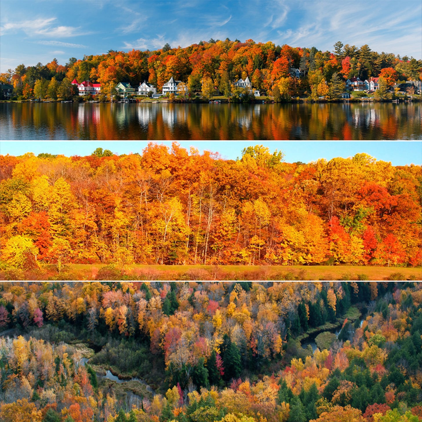 Best Cities to See Fall Leaves | PS Smart Living