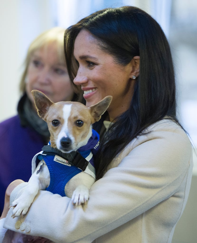 Meghan Markle Visits Mayhew January 2019 | POPSUGAR Celebrity Meghan Markle Visits Mayhew January 2019 | POPSUGAR Celebrity