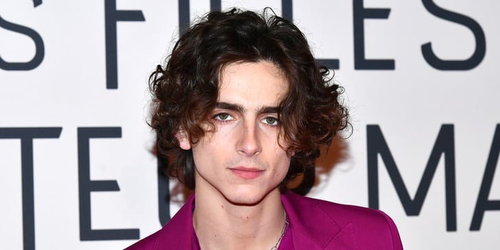 An Ode to Timothée Chalamet's Insanely Chiseled Jawline | POPSUGAR ...