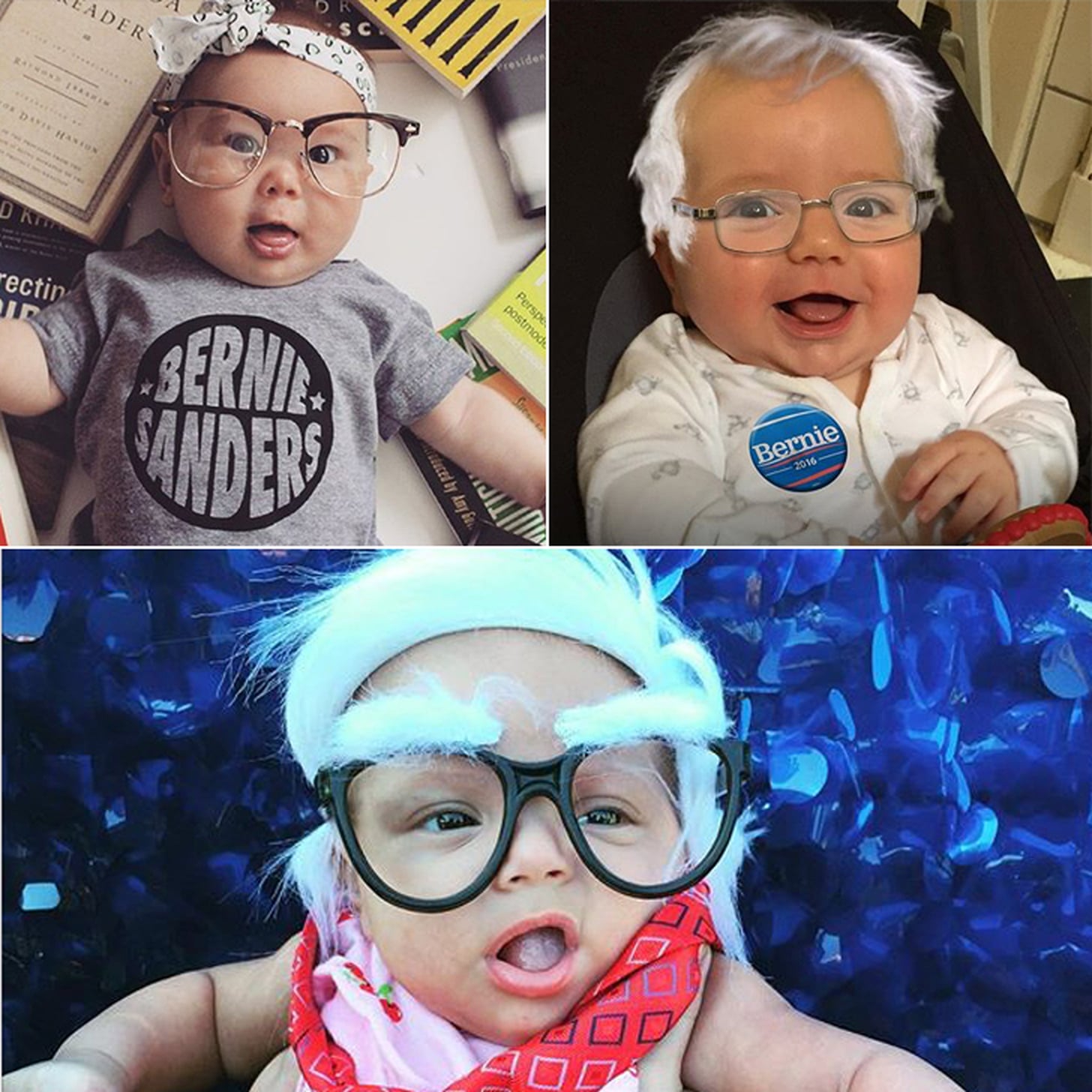 #BabiesForBernie Instagram Photos | PS Family