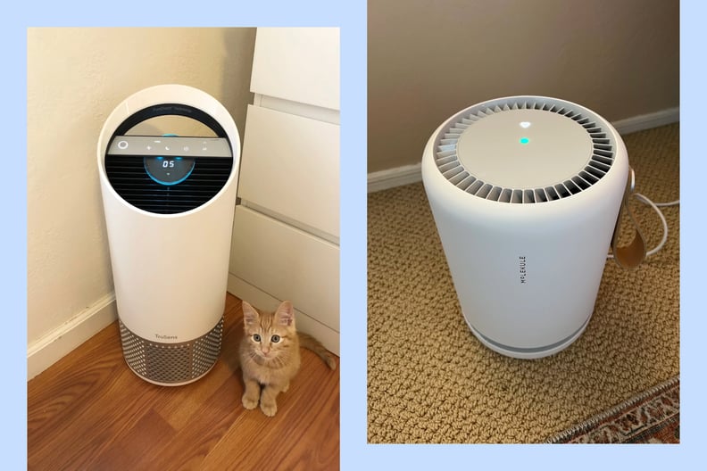 Air purifiers rated store