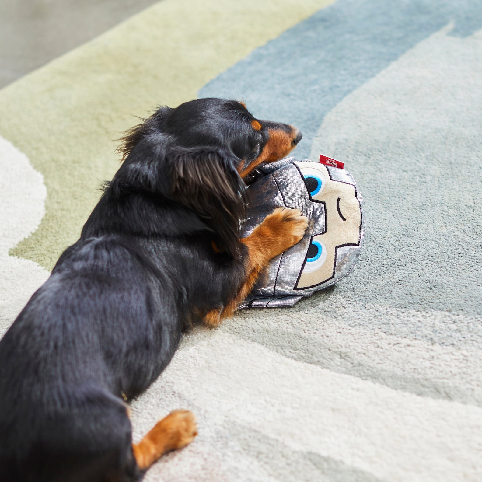 Chewy Disney, Pixar, Marvel, Star Wars Pet Products | PS Pets