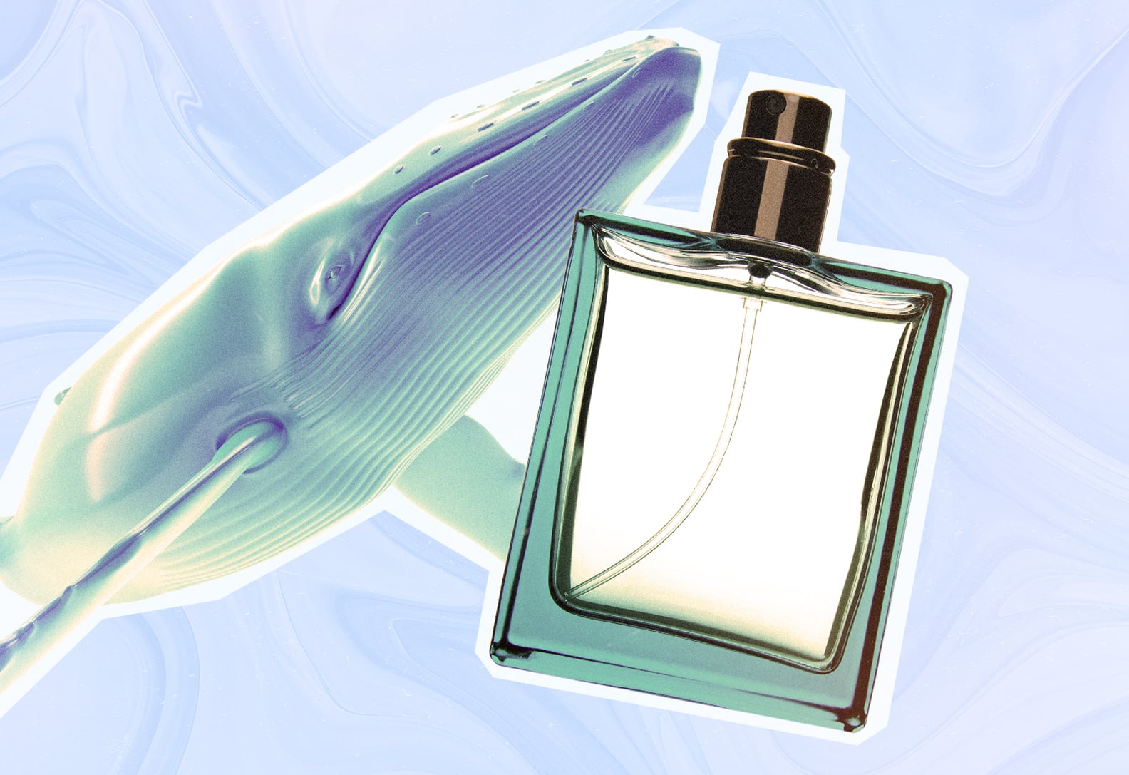 Ambergris: What It Is, Is It Ethical, Alternatives | PS Beauty