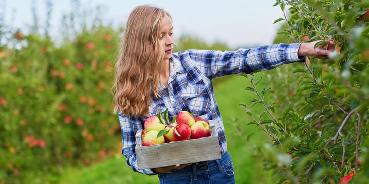 The Best Apple-Picking Instagram Captions For 2021 | POPSUGAR Smart Living
