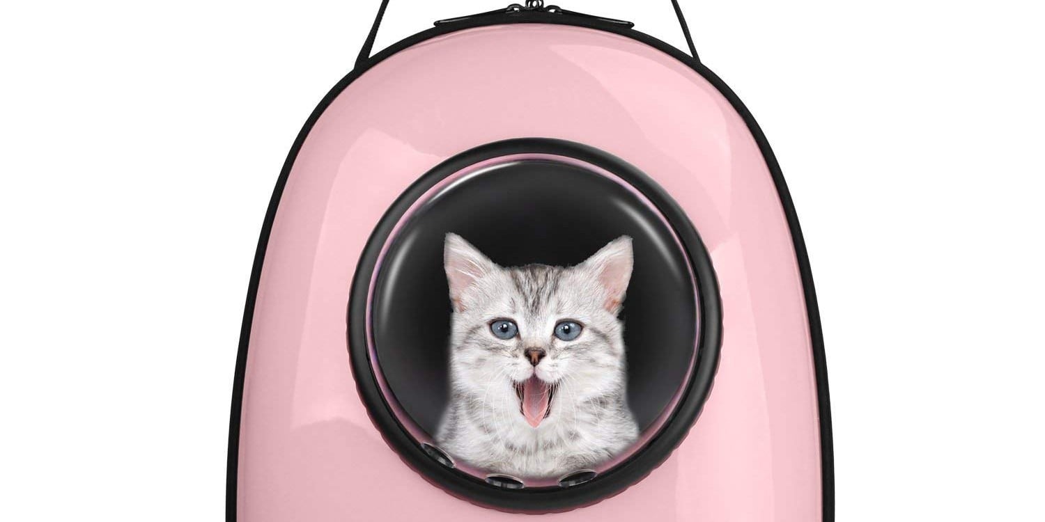 Best Products For Your Cat on Amazon | POPSUGAR Family