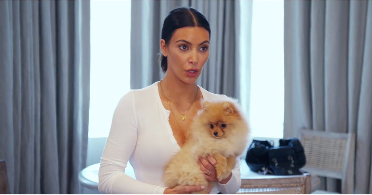 Kim and Kourtney Kardashian Fighting Over Puppies on KUWTK | POPSUGAR ...