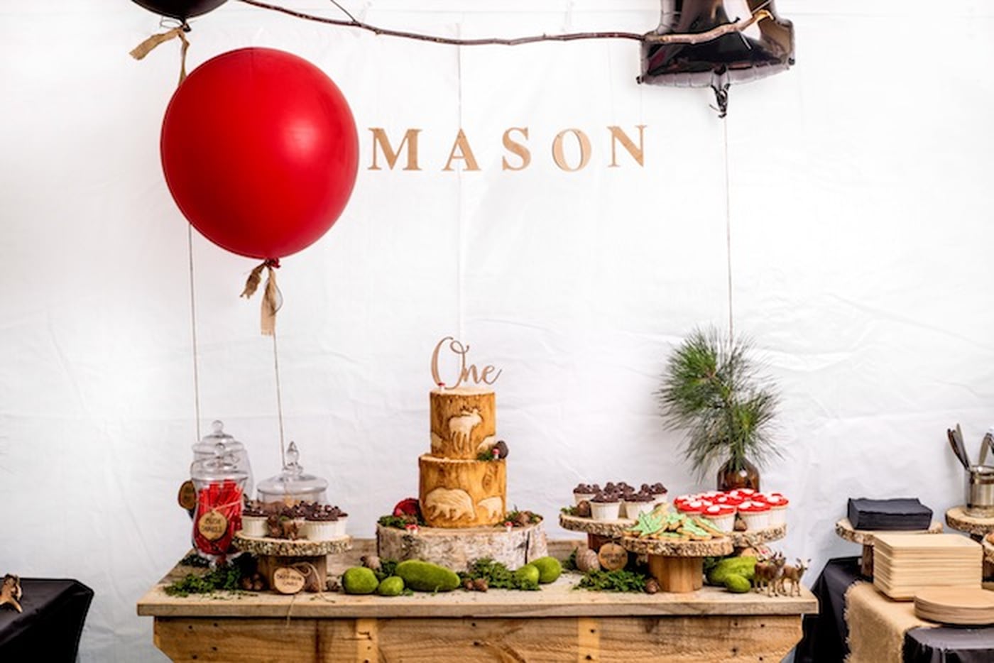 Wilderness-Themed Birthday Party | PS Family