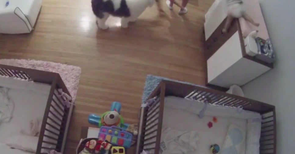 Brother Catches Baby Falling From a Changing Table | POPSUGAR Family